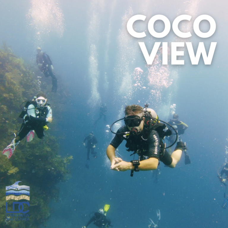 CoCo View Roatan - Lynnhaven Dive Center & LDC Swim School