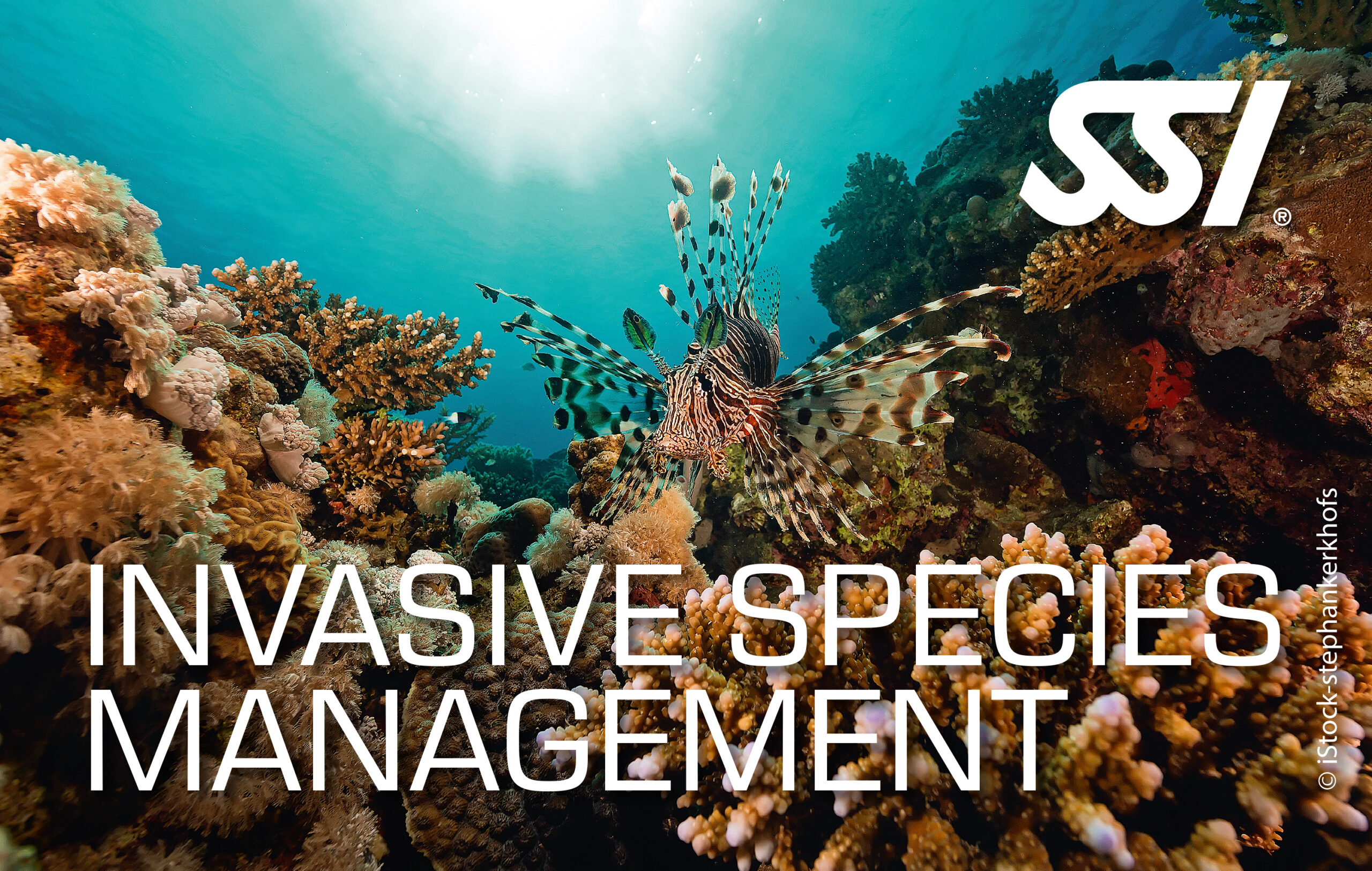 INVASIVE SPECIES MANAGEMENT - Lynnhaven Dive Center & LDC Swim School